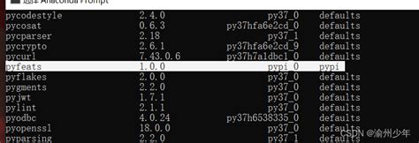 如何将本地python库导入环境，全教程 egg文件怎么导入python中 csdn博客