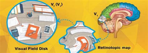 Nyu Shanghai Chief Scientist Builds First Mathematical Model For How We ‘see The World