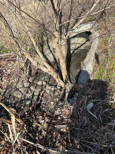 David Peacock Posted On Linkedin