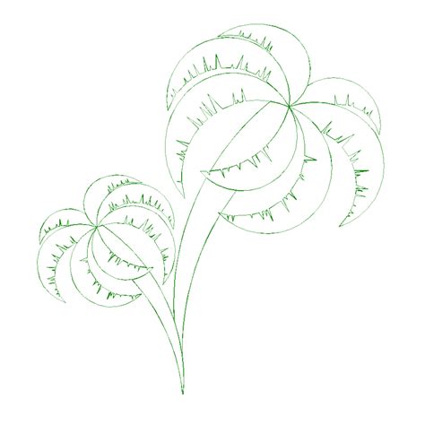 Coconut Tree Sketch Coconut Tree Illustration Illustration Sketch