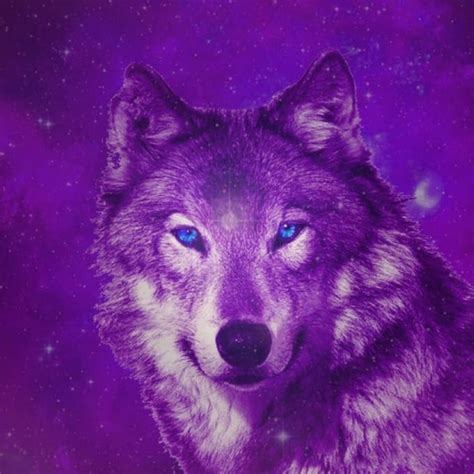 Create A Custom Minecraft Plugin By Velectical Fiverr