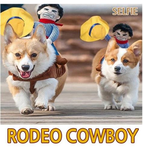 핫딜 강아지코스프레 애견코스튬 강아지 로데오 카우보이 S사이즈 티몬