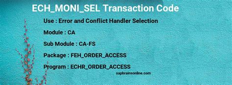 ECH MONI SEL SAP Tcode For Error And Conflict Handler Selection