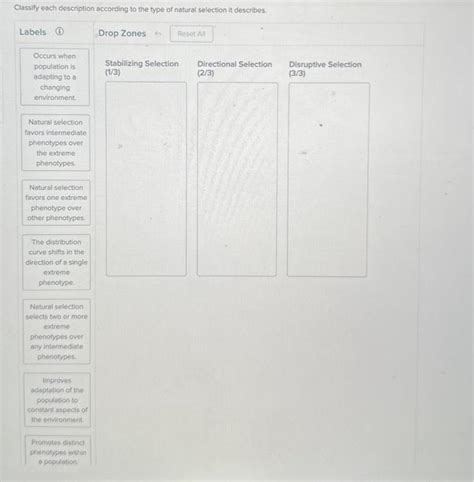 classify each description according to the type of
