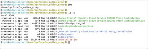 Oci Iam Radiusプロキシパート2 Oracle Databasesのマルチファクタ認証mfaの構成方法