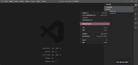 Vc Code比较文本文件的差分diff