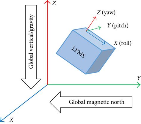 Global And Local Sensor Coordinates Download Scientific Diagram
