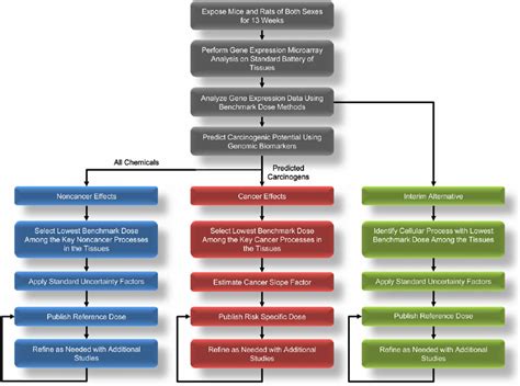 A Flow Chart Outlining The Application Of Transcriptomic Data To