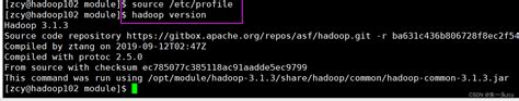 搭建hadoop集群 完全分布式运行模式 hadoop分布式集群 csdn博客
