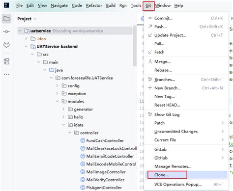 2java中从gitlab拉取项目到本地 Csdn博客