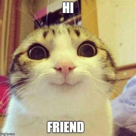 Smiling Cat Meme Imgflip