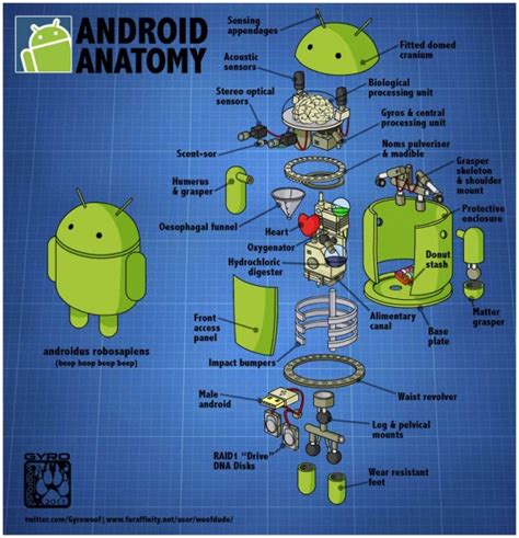Android Anatomy Sprignaturemoves