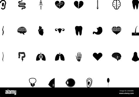 Organs Of Human Concept Outline Black Color Set Solid Style Vector Illustration Organs Of Human