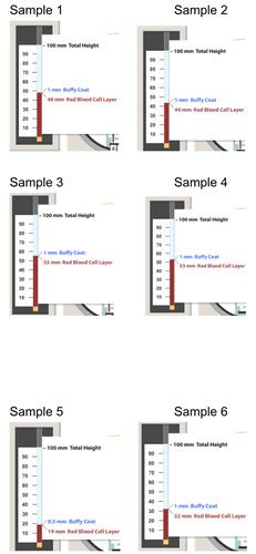 Bio 142 Lab 3 Hoefner Flashcards Quizlet