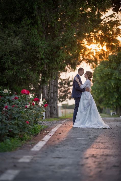 Free Picture Kiss Newlyweds Garden Sunset Pathway Wedding Bride