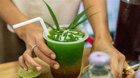 Cannabis Drinks Are Surging In Popularity