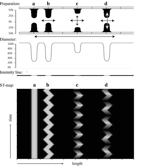 St Maps Of Pendular Contractions Pendular Contractions Occurring Download Scientific Diagram
