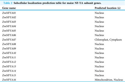 Table 2 From Identi ﬁ Cation And Expression Analysis Of Maize Nf Ya Subunit Genes Semantic Scholar
