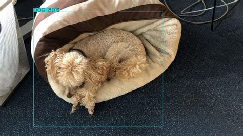 Dev Eth0de Object Detection In Images And Videos Using Python Opencv And Yolov3