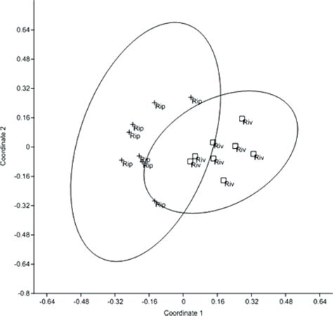 Nmds Analysis Nmds Of Web Spinning Spider Abundances For Each Sampling Download High
