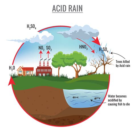 Acid Rain Cycle In Nature Vector Illustration 21669336 Vector Art At Vecteezy