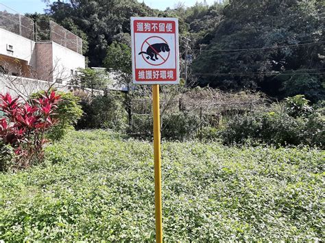 遛狗不清便 罰金3600起跳 中華日報中華新聞雲