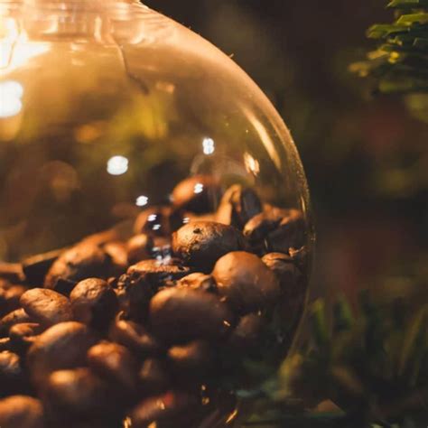 Biji Kopi Yang Wajib Dinikmati Selama Libur Akhir Tahun Siroca