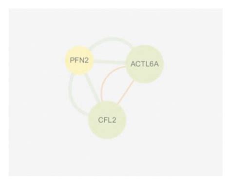 Ppi Networks Are Based On The Screened Degs A B C The Ppi Download Scientific Diagram