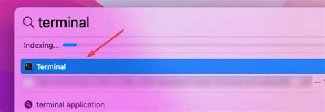 How To Flush DNS Cache In MacOS Sonoma