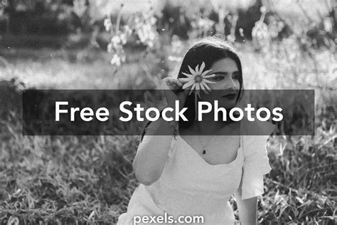 Grass With Daisys Background Photos Download The Best Free Grass With Daisys Background Stock