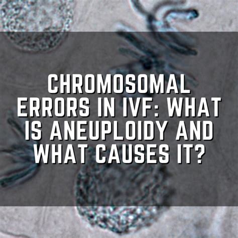 Chromosomal Errors In Ivf What Is Aneuploidy And What Causes It Remembryo