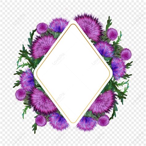 엉겅퀴 꽃 일러스트 수채화 보라색 테두리 일러스트잎 봄 우주 축하휴일꽃들 Png 일러스트 무료 다운로드 Lovepik