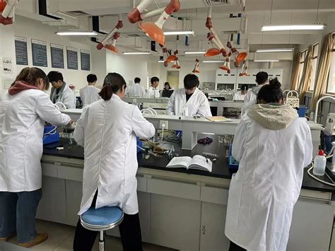 Polyeff Eco Driven Purity Focused Polymer Innovations