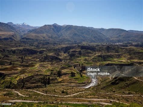 잉카 이전 계단식 테라스의 파노라마 전망 Anden 농업 콜카 캐년 계곡 아레키파 안데스 페루의 농업 0명에 대한 스톡 사진 및 기타 이미지 Istock