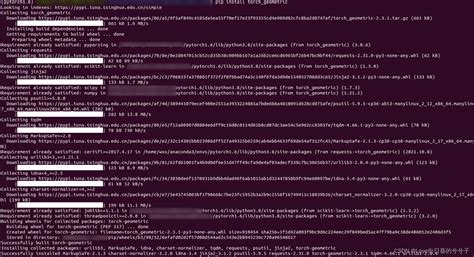 代码运行出现：no Module Named ‘torchgeometric‘安装了但仍然显示 No Module Named Torchgeometry Csdn博客