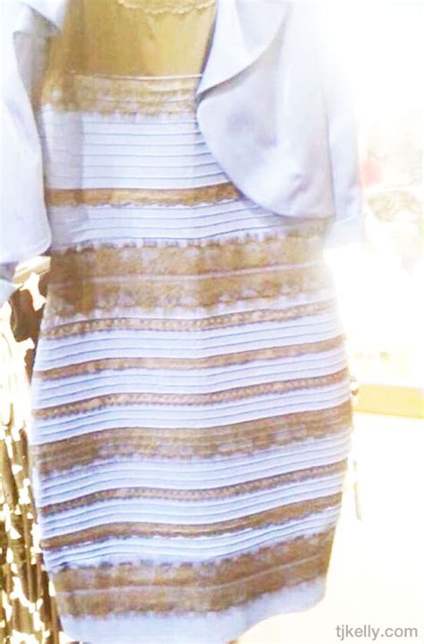 The Dress Is Black And Blue But Heres Why You Cant Tell Tj Kelly