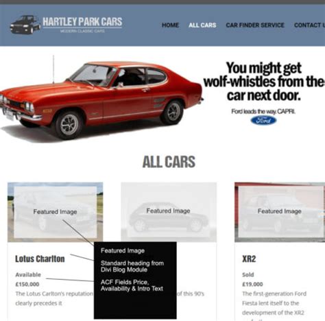 DIVI Blog Module Show ACF Advanced Custom Fields Chillicon