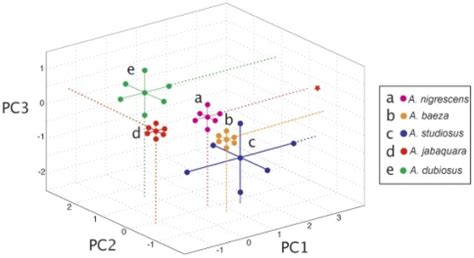 The Confidence Intervals For Each Species Show Moderate Overlap Download Scientific Diagram