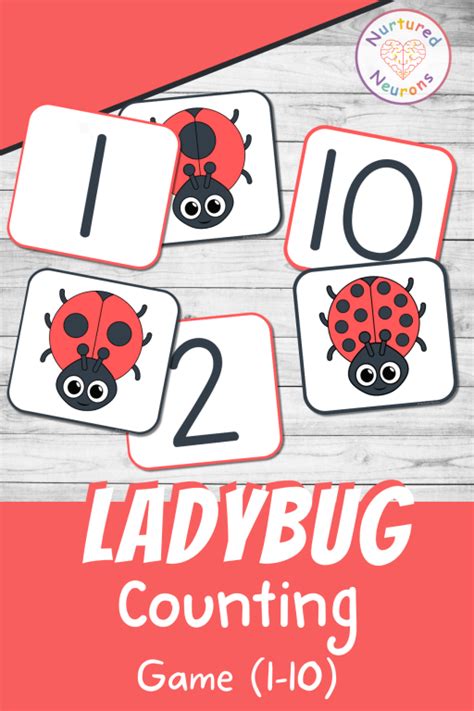 Ladybug Counting Game A Preschool Number Matching Activity Nurtured Neurons
