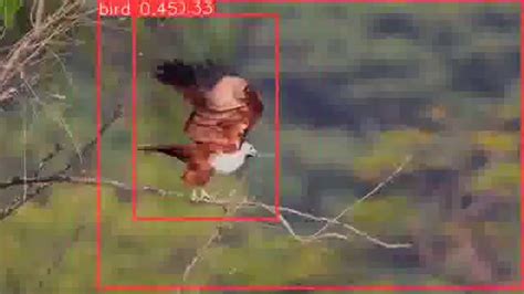 Bhavishyavenkata Puli On Linkedin Internship Objectdetection Yolo