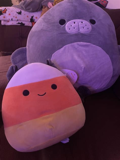 So Happy I Went Out Hunting Tonight Rsquishmallow