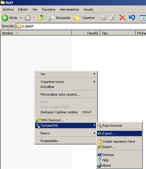 Red Meat Series Installing BeEF On Windows Systems ASecurity Blog