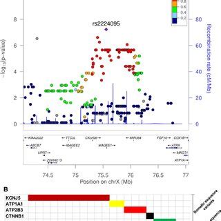 A Regional Association Plot The Plot Shows The Association Results Download Scientific