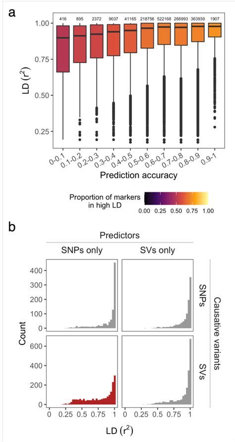 Relationship Between Genomic Prediction Accuracy And Linkage Download Scientific Diagram