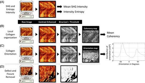 Imaging Processing Pipeline Eliminated Defects And Allowed For Download Scientific Diagram