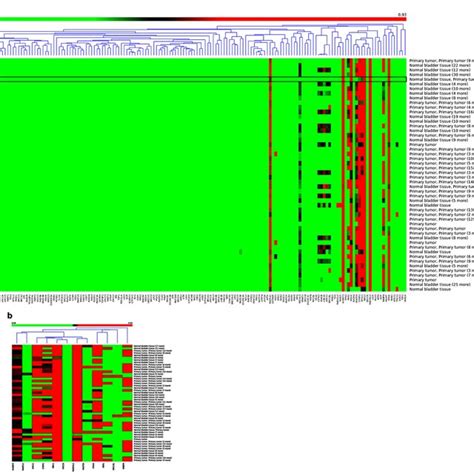 Decision Graph Showing The Distribution Of Points In Feature Space Download Scientific Diagram