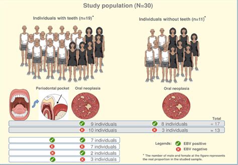 Graphic Representation Of The Study Population With Real Proportion For Download Scientific