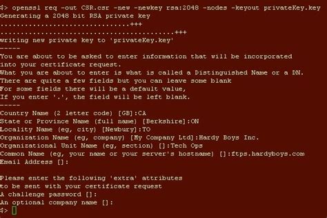 openssl [組圖 影片] 的最新詳盡資料 必看