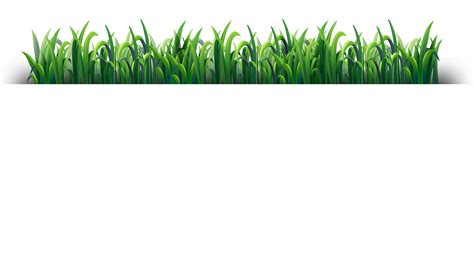 Seamless Design With Green Grass 413512 Vector Art At Vecteezy