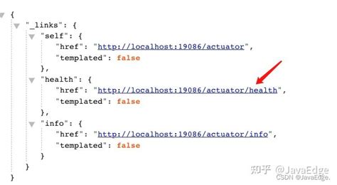 如何在 Spring Boot 应用程序中使用 Actuator 监控和管理端点，提高应用程序的生产力？ 知乎